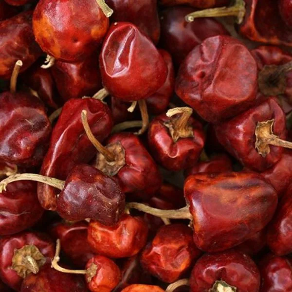 Gundu Chilli - Flavers